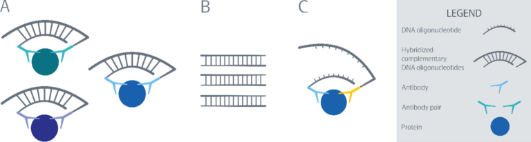Groundbreaking Olink Proteomics - Certified Service Provider