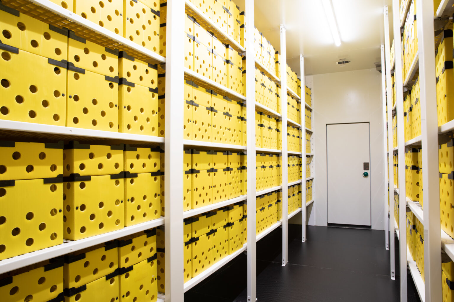 Expert ICH Stability Storage - Outsourced Services