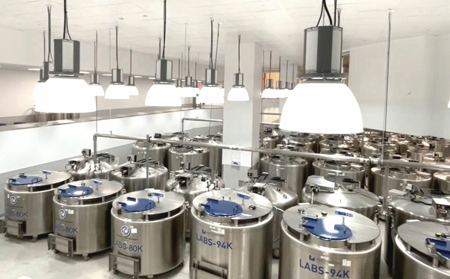 Leading Cryogenic Storage: 5 Powerful Reasons to Oursource