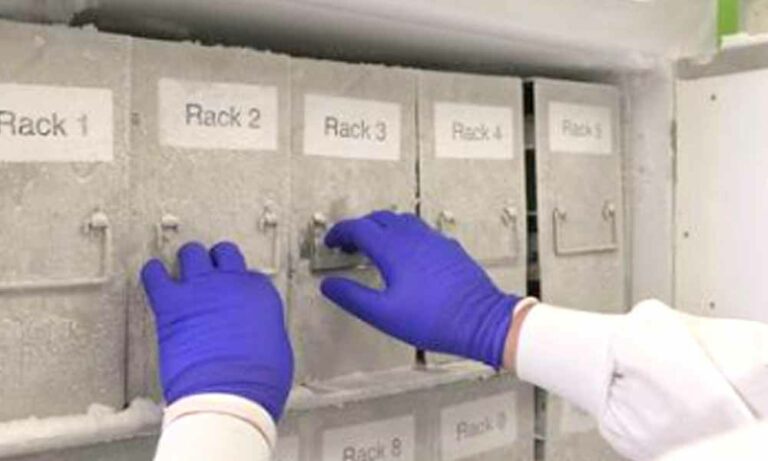 Expert Biobanking Services - Centralize your Sample Storage